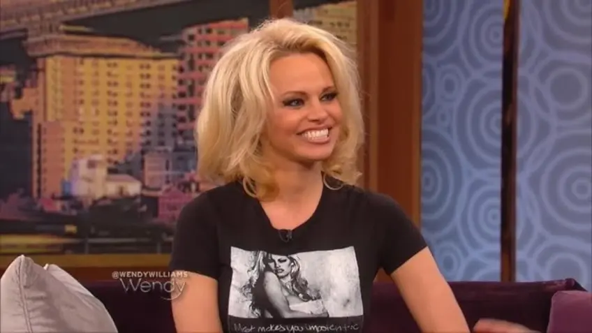 Pamela Anderson felt 'yucky' near Seth Rogen after his series on her ...